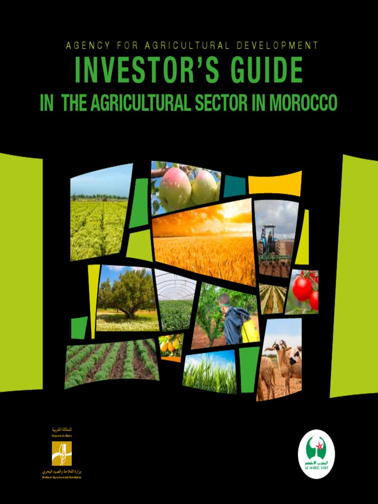 Investor's Guide to Moroccan Agriculture | PDF | Morocco | Economic Growth