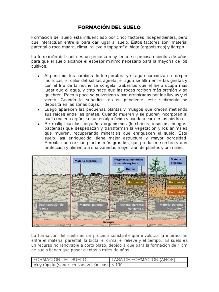 Formación Del Suelo | PDF | Suelo | Agua