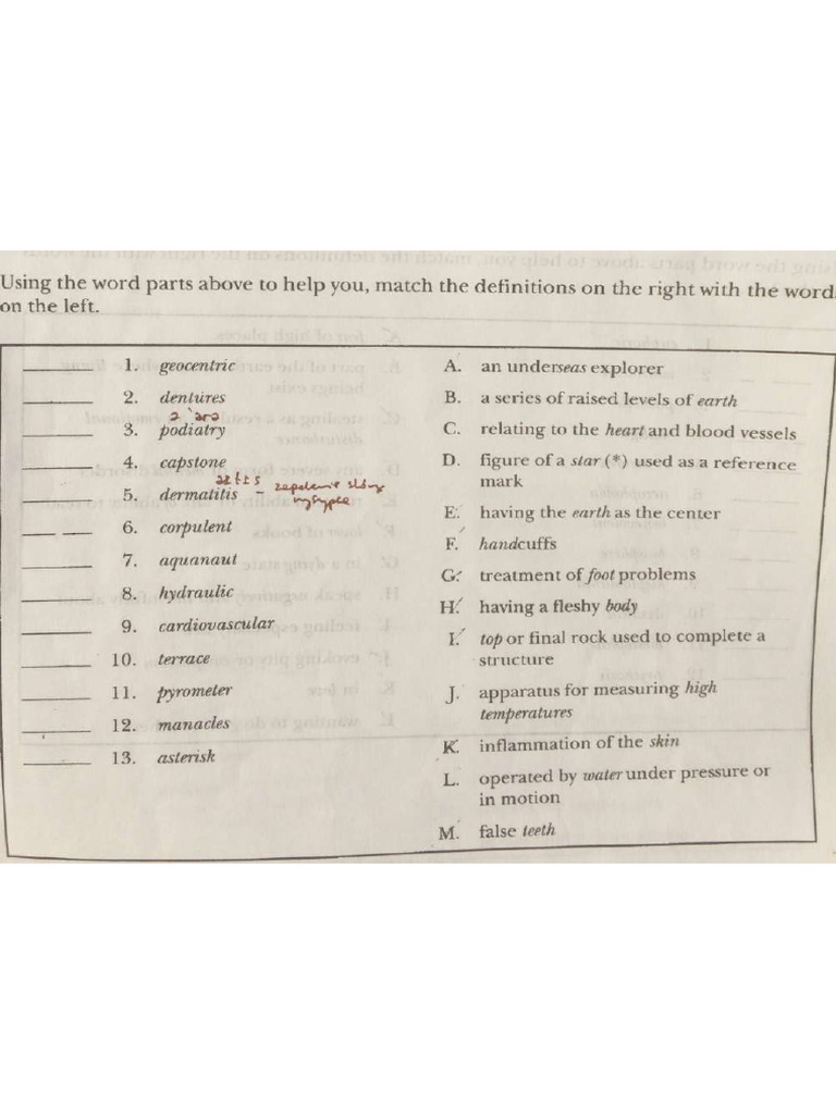 Match The Definitions | PDF