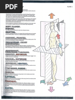 Z-Track Technique | PDF | Injection (Medicine) | Medical Specialties