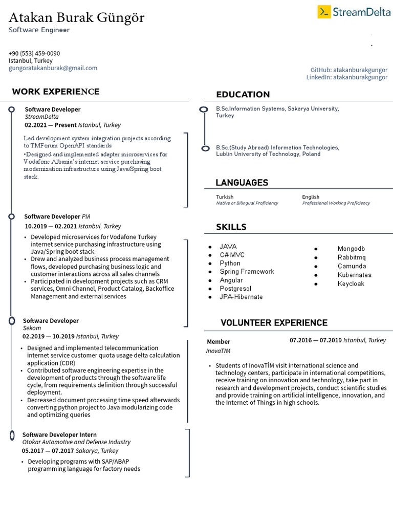 Software Engineer Profile | PDF | Spring Framework | Programmer