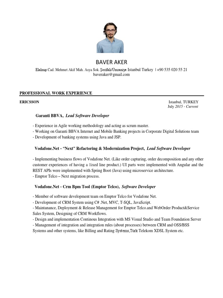 Baver Aker CV - ENG | PDF | Software Development | Software