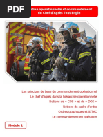 Fiche Bilan Secouriste 2024 | PDF
