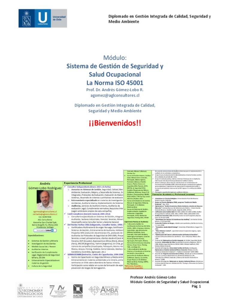 Gestión de Seguridad: ISO 45001 | PDF | Seguridad y salud ocupacional