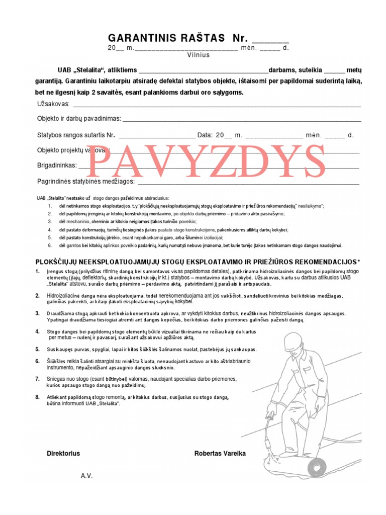 Garantinio Rasto Pavyzdys 2010 | PDF