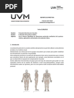 Prueba de Adams | PDF | La columna vertebral | Escoliosis