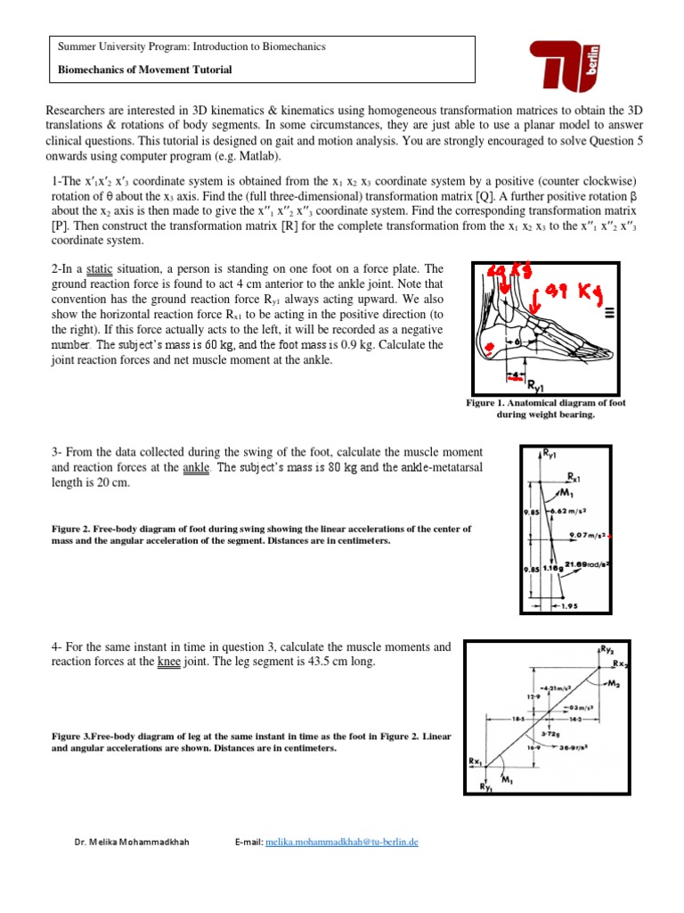 Biomechanics of Movement | PDF | Cartesian Coordinate System | Center ...