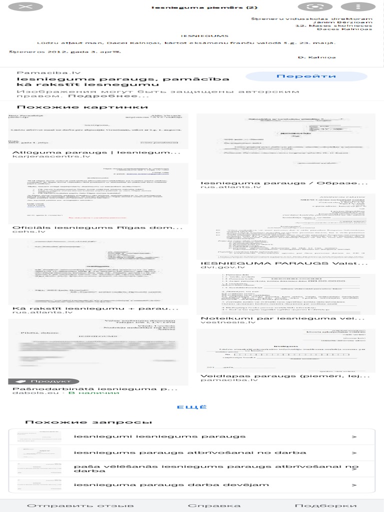 Iesniegums Paraugs - Google Поиск | PDF