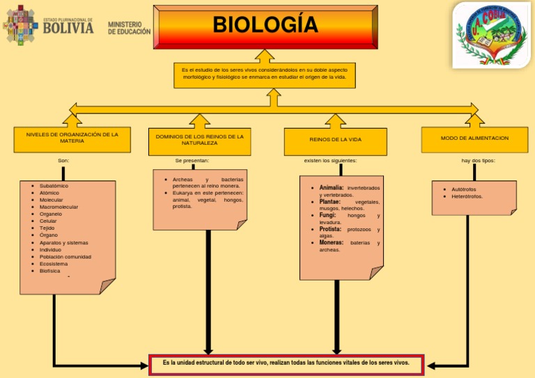 Mapa Conceptual Biologia | PDF