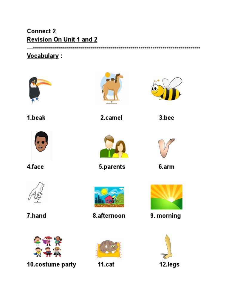 Revision Connect 2 | PDF