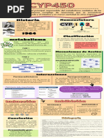 Flexiplen-B12 Prospecto | PDF | Medicamentos con receta | Droga anti ...