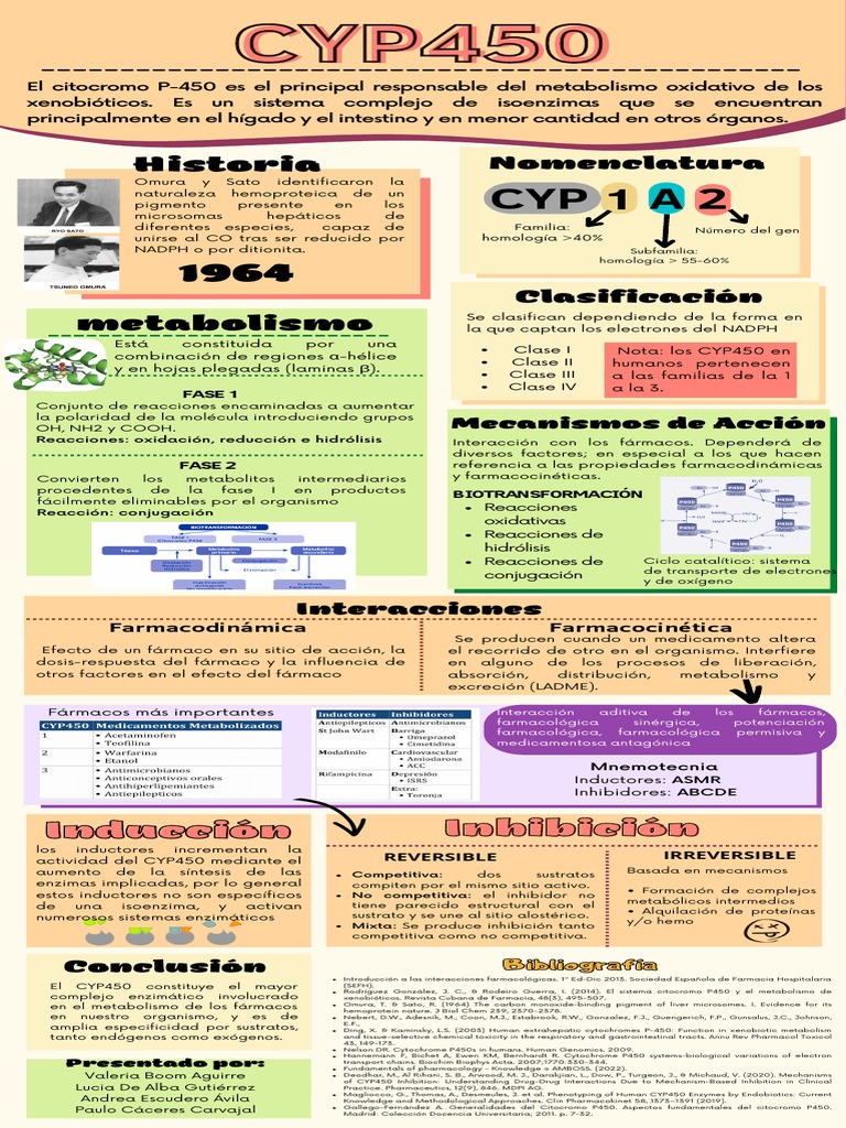 Infografía CYP450 | PDF | Citocromo P450 | Inhibidor de la enzima