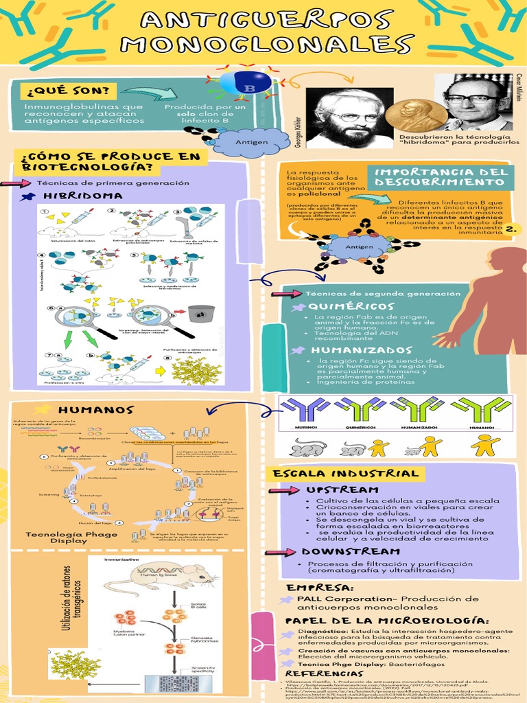 Infografía de Anticuerpos Monoclonales | PDF | Anticuerpo | Biología