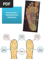 Pie Talo, Pie Varo, Valgo, y Pie Plano | PDF | Pie | Tobillo