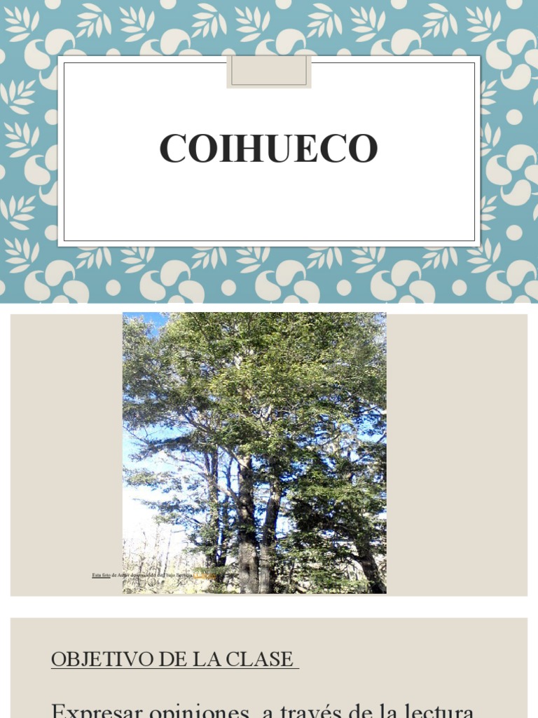 COIHUECO | PDF | Agricultura