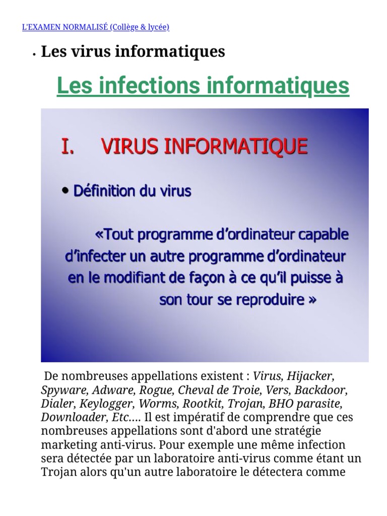Comprendre les virus informatiques | PDF | Virus informatique ...