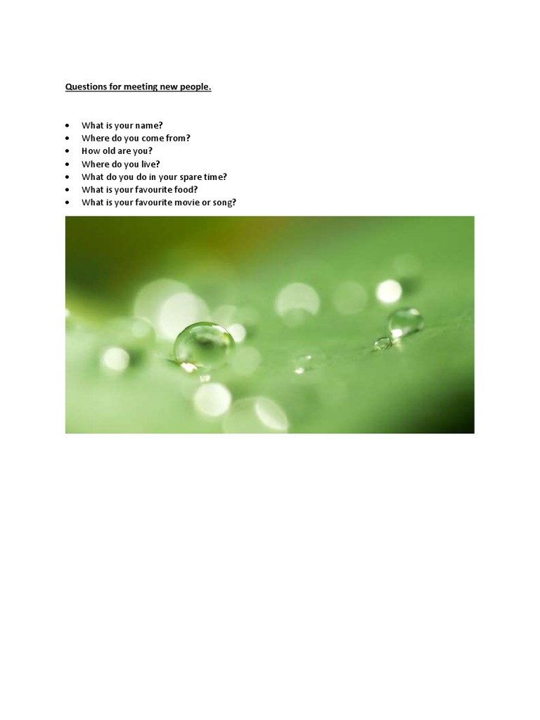 ESL Questions For Meeting New People | PDF
