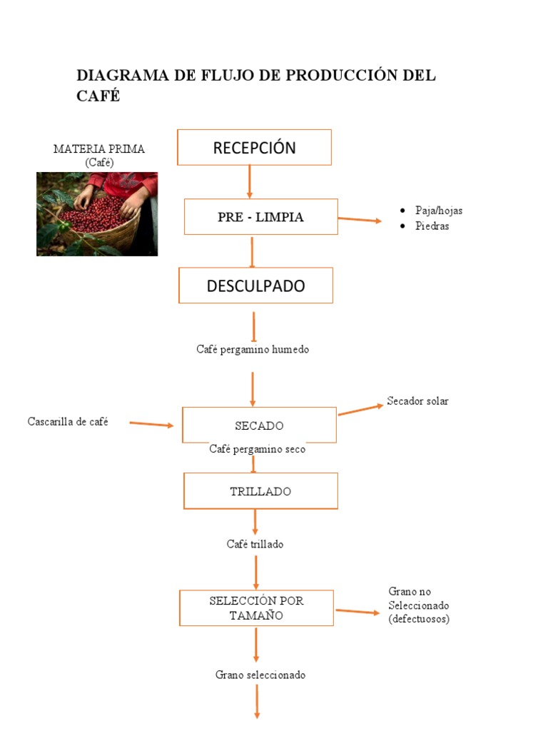 Diagrama de Flujo de Producción Del Café | PDF