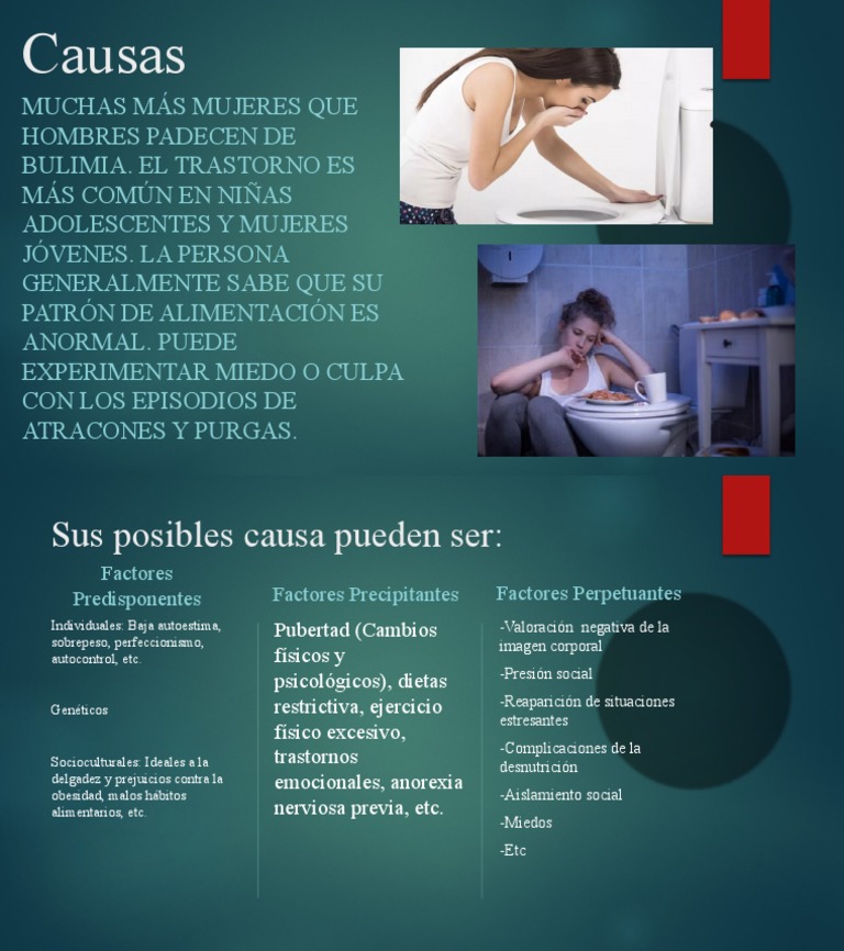 Causas | PDF