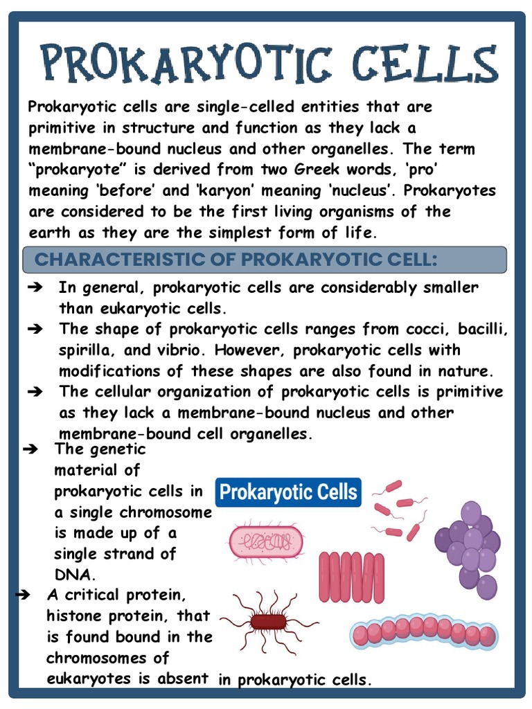 Prokaryotic & Eukaryotic Cells | PDF | Cell (Biology) | Prokaryote