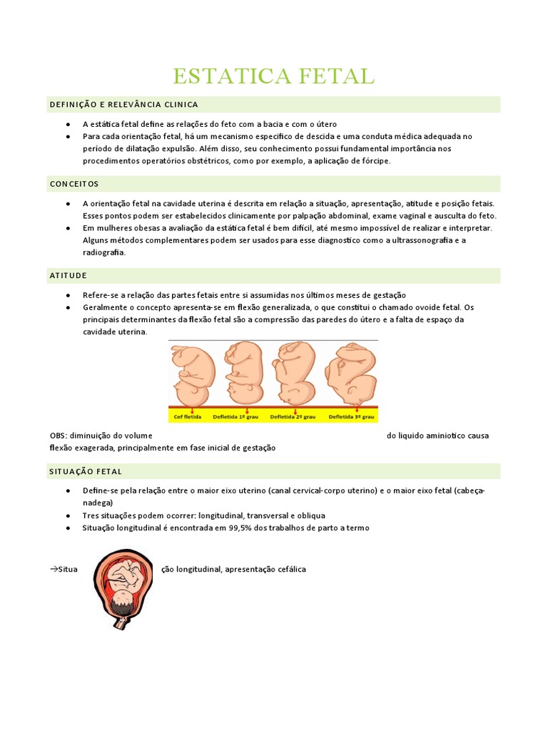 Estatica Fetal | PDF | Parto | Pélvis