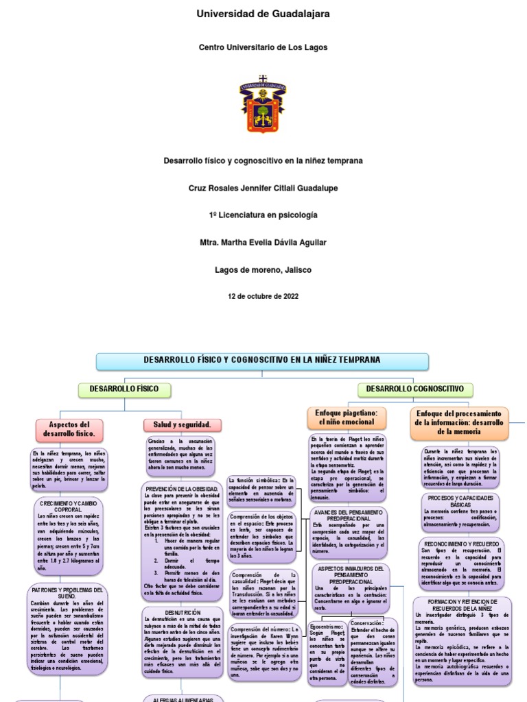 Desarrollo físico y cognitivo en la niñez | PDF | Memoria | Mente