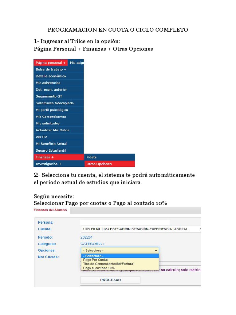 Programación de Pagos en Trilce | PDF | Finanzas y dinero