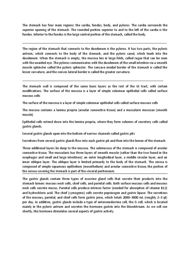 Stomach Script | PDF | Stomach | Digestive System