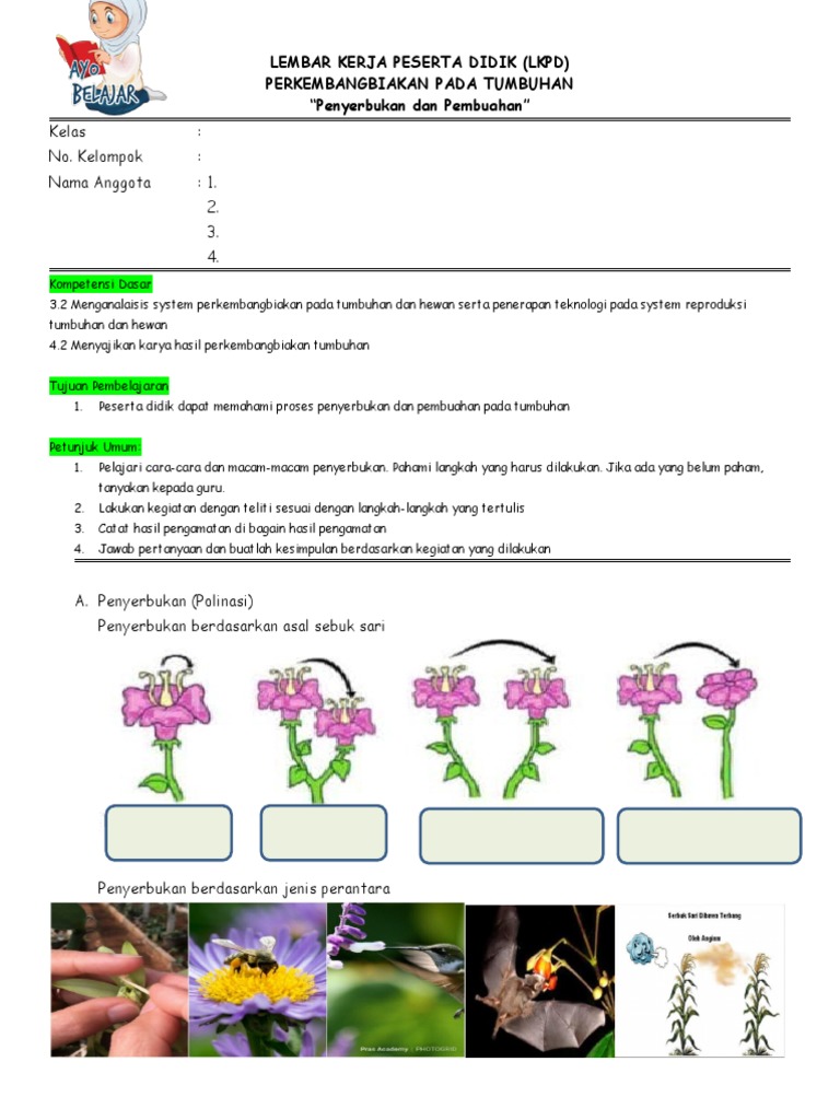 LKPD Penyerbukan dan Pembuahan Kelas 4 | PDF | Karier & Perkembangan