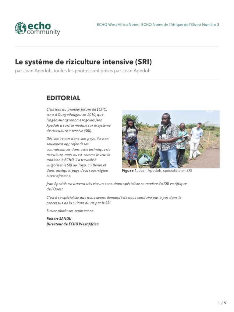 Le Systeme de Rizic Ive Sri | PDF | Irrigation | Fertilisant