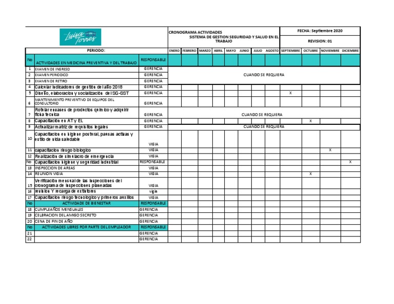 Cronograma SG SST | PDF | Ciencias de la Salud
