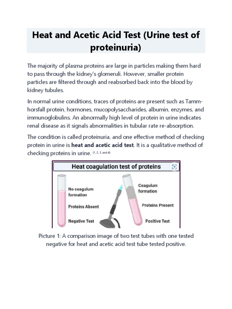 Heat and Acetic Acid Test for Proteinuria | PDF | Cooking, Food & Wine ...