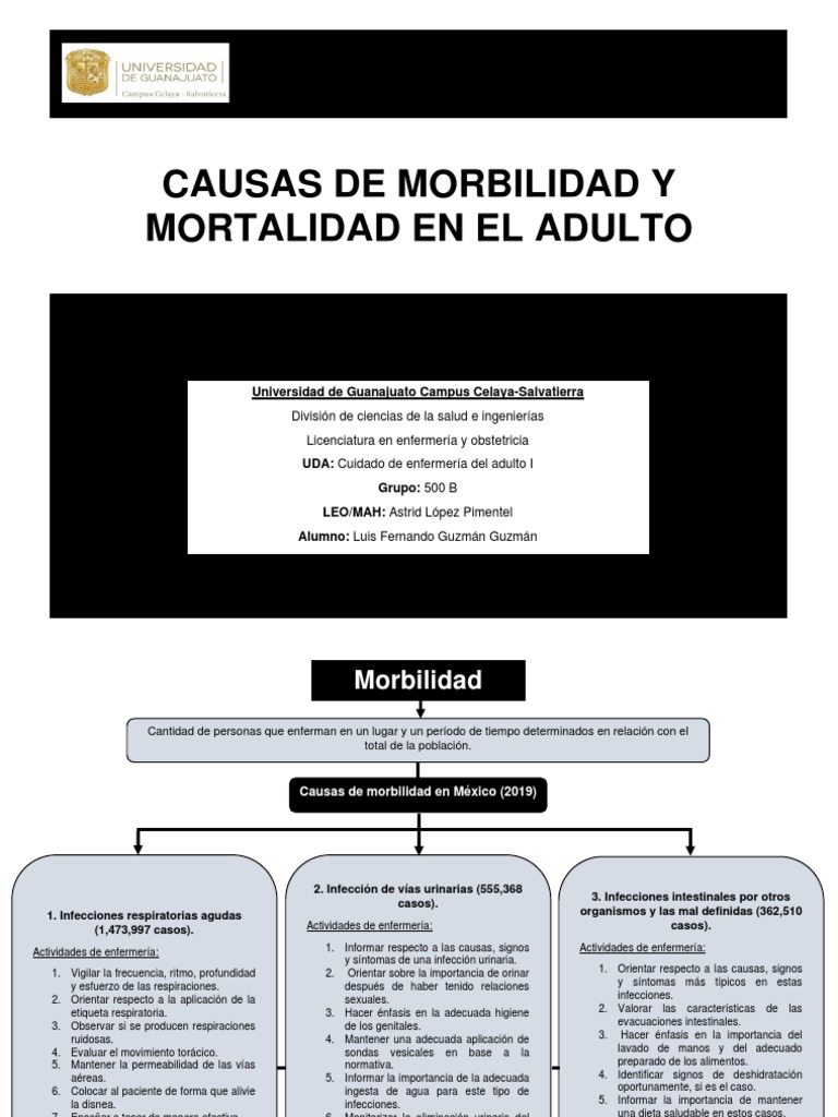 Causas de Morbi-Mortalidad en El Adulto | PDF | Hipertensión | Cáncer