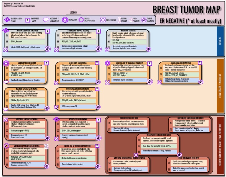 Breast Cancer Mind Map | Download Free PDF | Carcinoma | Adenoma