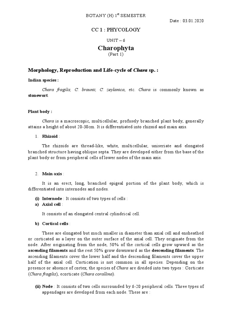 271342ACharophyta Chara | PDF