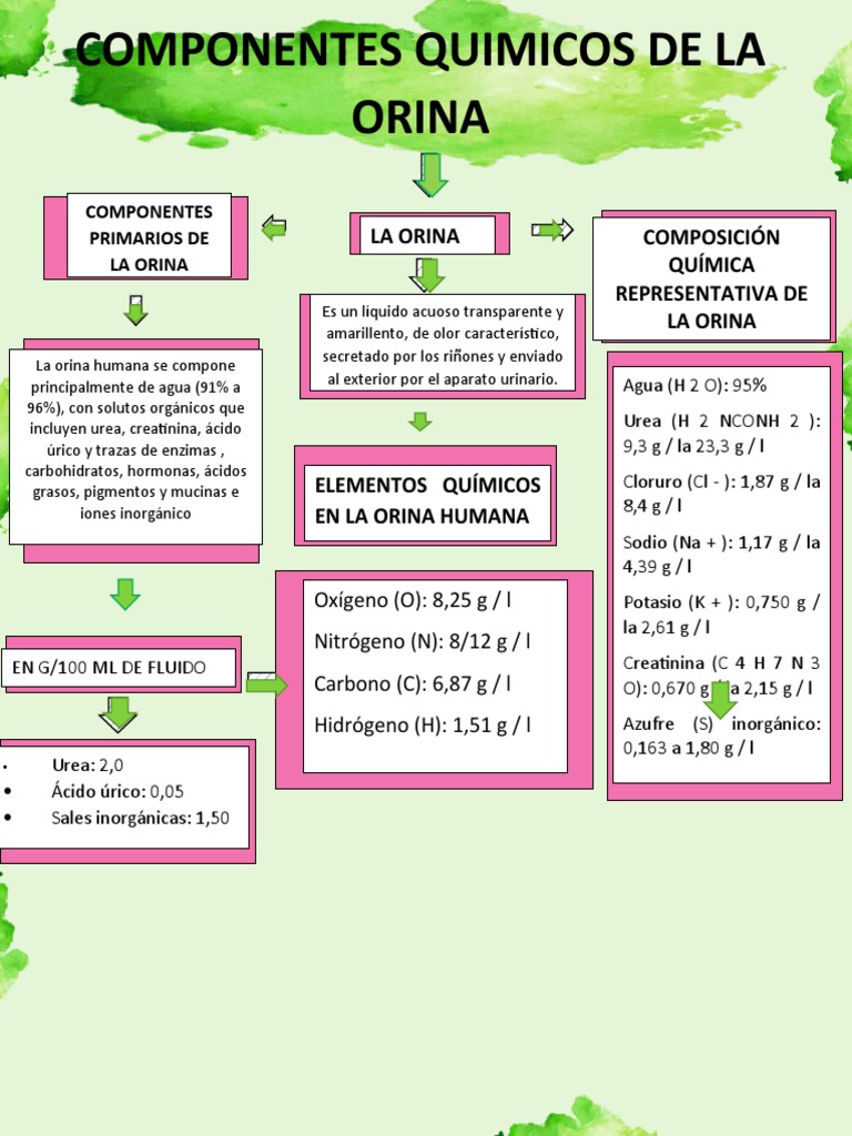 Componentes Quimicos Mapa | PDF