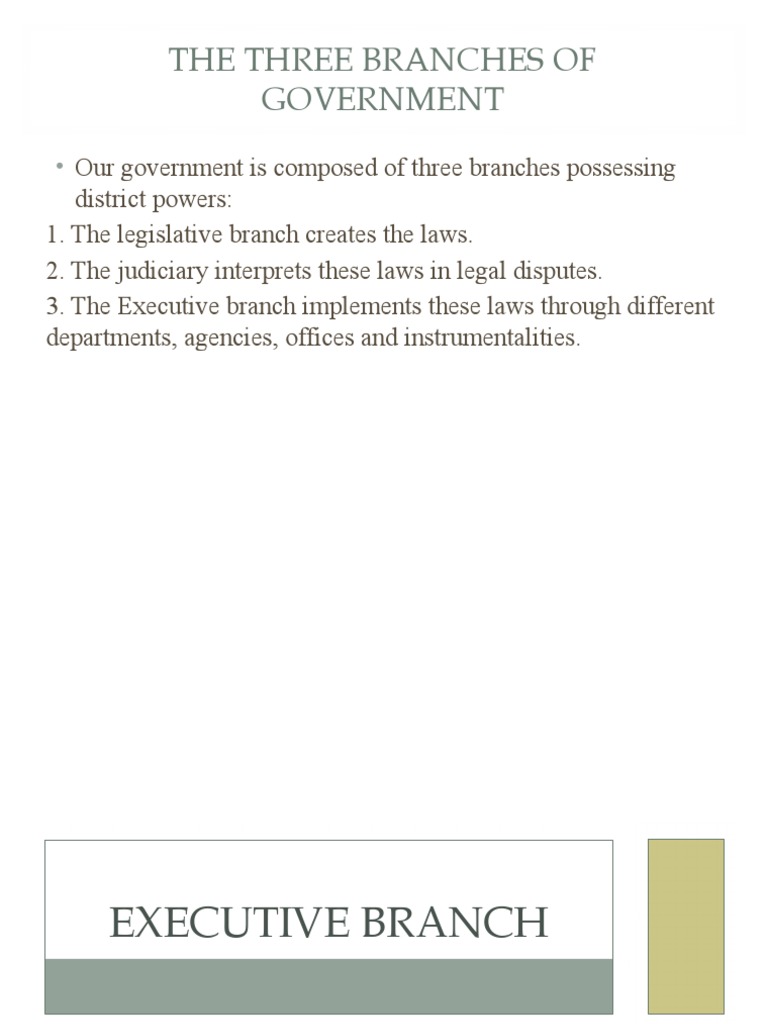 The Three Branches of Government | PDF | Presidents Of The United ...