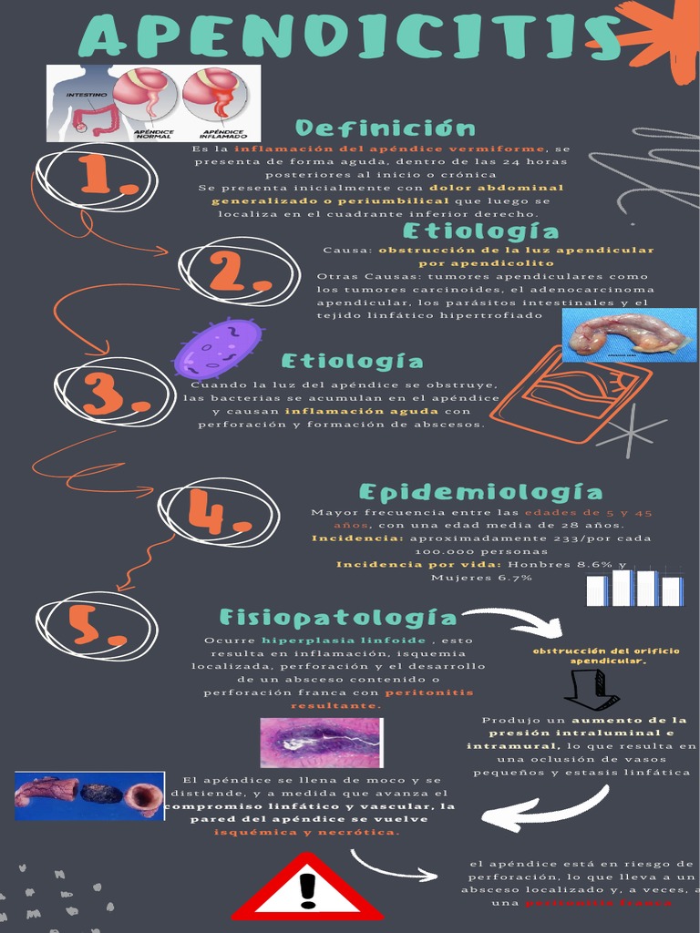 Apendicitis - Infografía | PDF | Anatomía | Especialidades Medicas