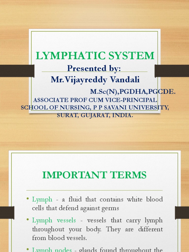Lymphatic System Pdf Lymphatic System Lymph Node