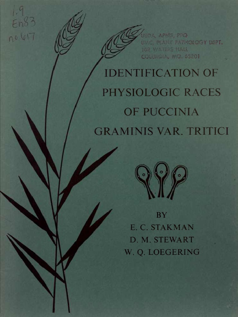 PDF - Pucinia Graminis | PDF | Race (Human Categorization) | Wheat