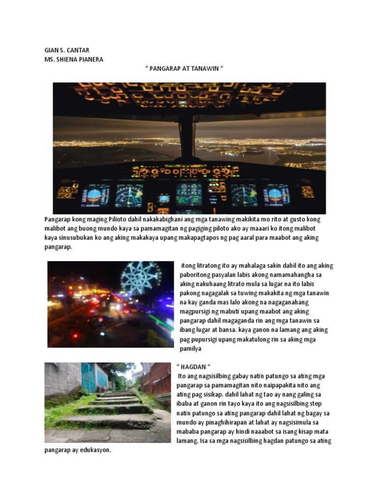 Pictorial Essay | PDF