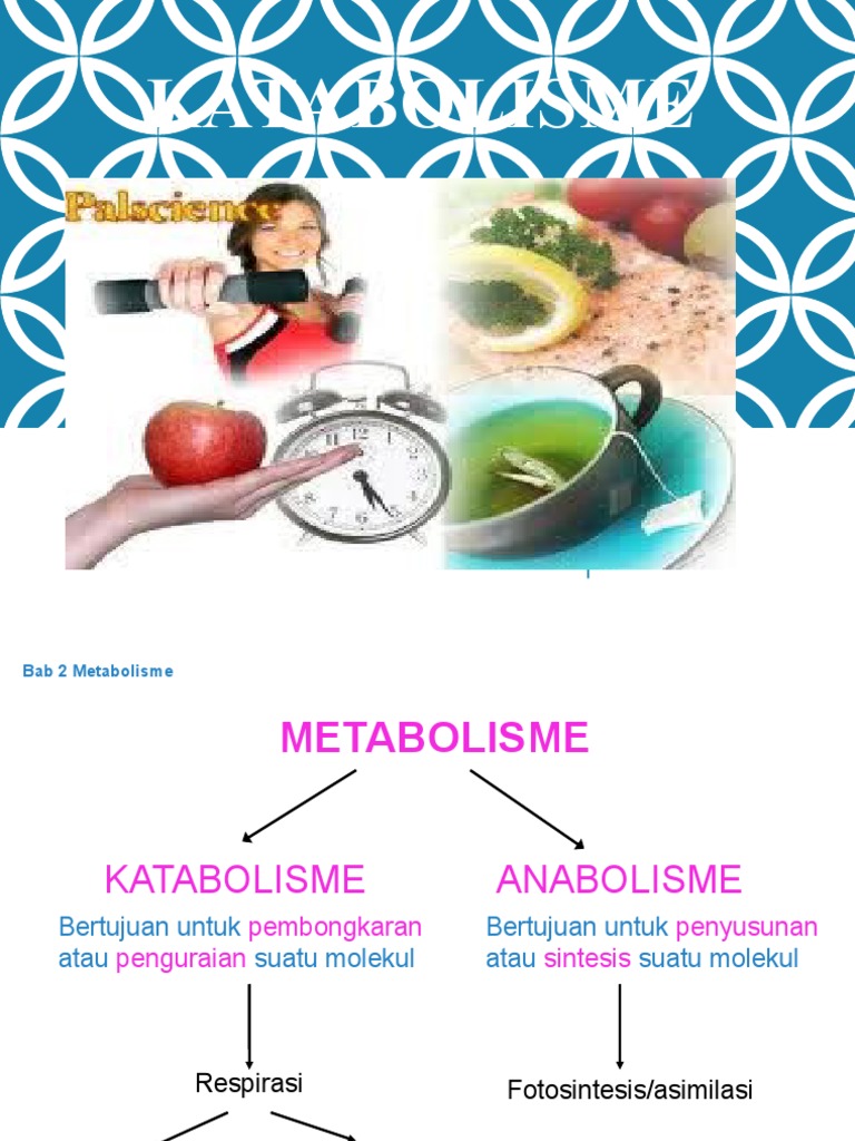 Metabolisme - Part 2. Katabolisme.2020 | PDF Metabolisme - Part 2. Katabolisme.2020 | PDF