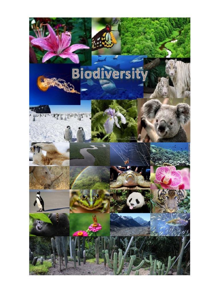 U3 (Biodiversity) | PDF | Biodiversity | Ecosystem
