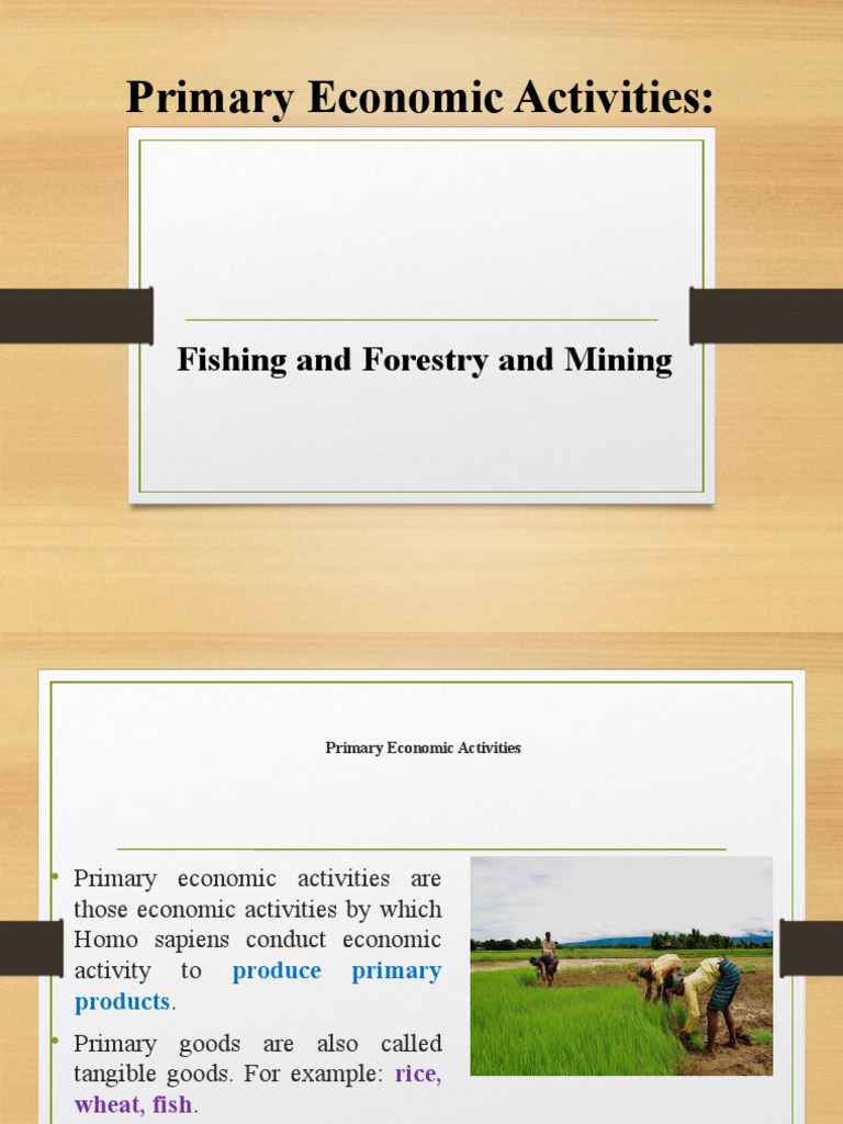 Primary Economic Activities Fishing Forestry Mining | PDF | Forestry | Wood