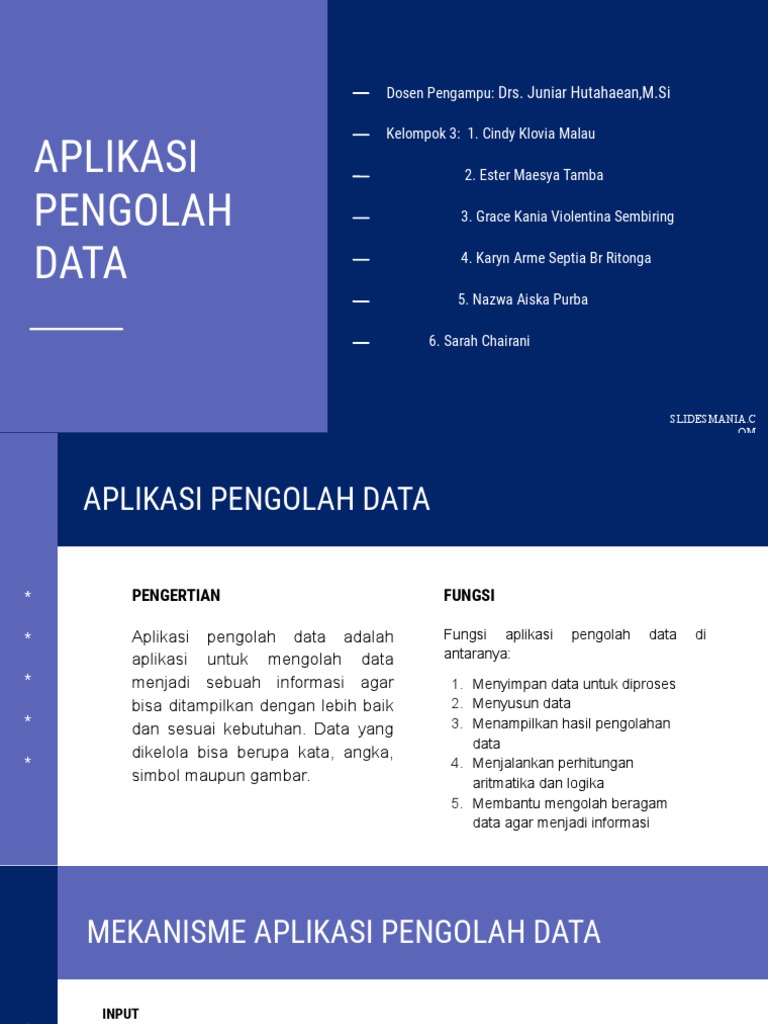 Aplikasi Pengolah Data: Fungsi dan Contoh | PDF | Bisnis | Seni