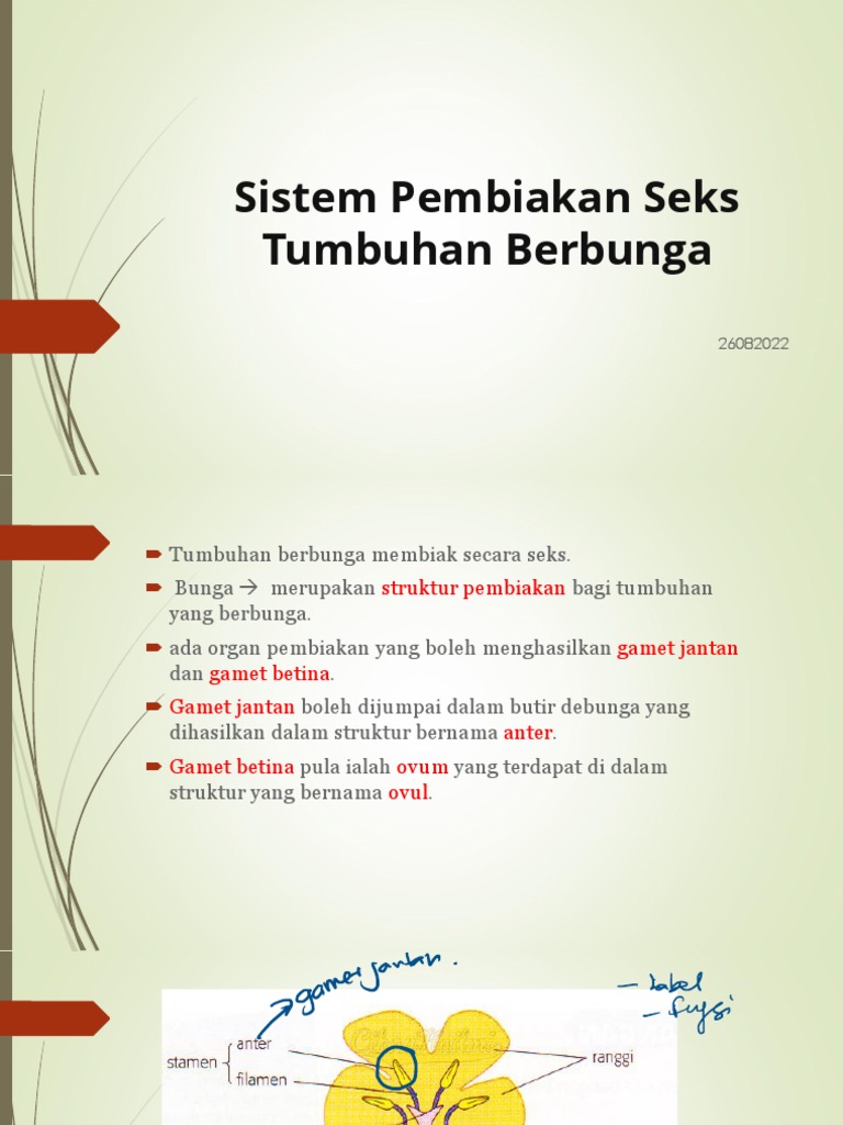 Sistem Pembiakan Seks Tumbuhan Berbunga | PDF
