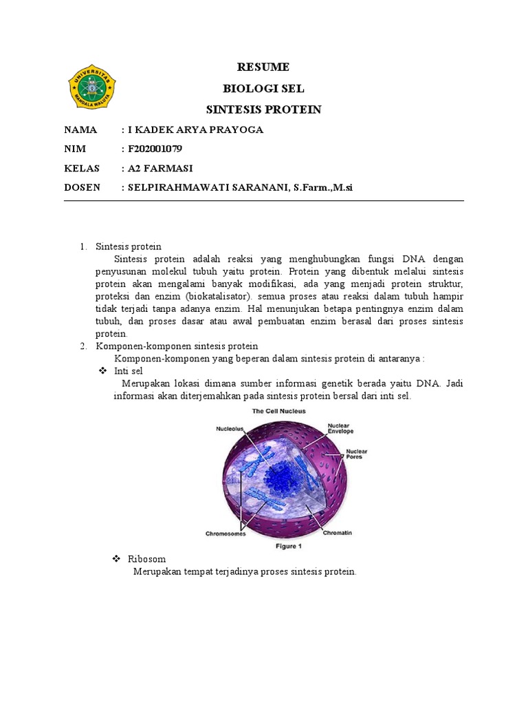 Proses Sintesis Protein dalam Sel | PDF