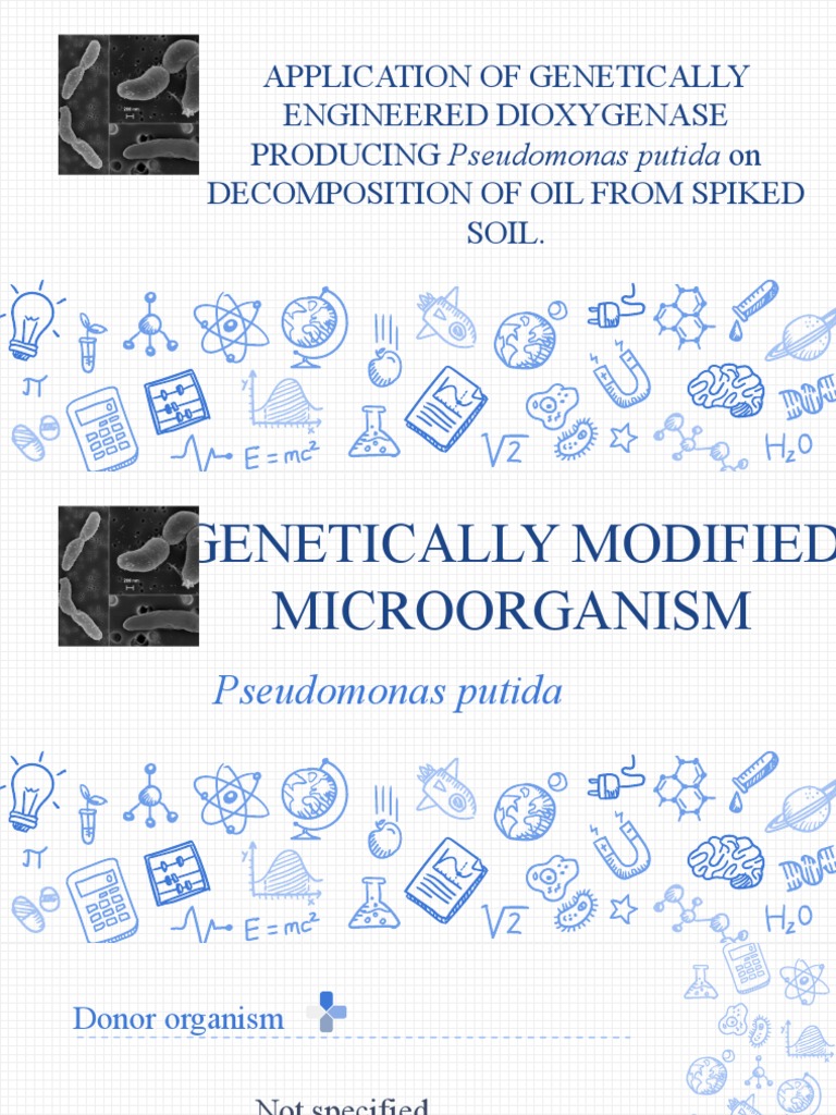 Genetically Modified Microorganism - Assignment.ppt | PDF