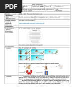 Daily Lesson Plan SCIENCE 4 WEEK 3 | PDF | Leaf | Plants