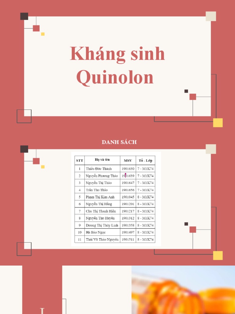 Quinolon | PDF